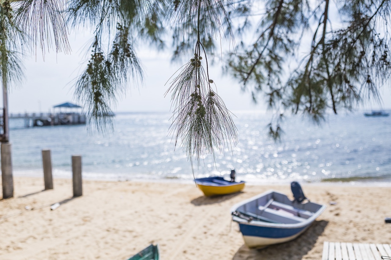 Five Travel Tips For Planning A Vacation In Tobago | Licorish Villa Tobago